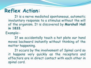 Control and Coordination | PPTX