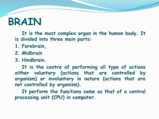 Control and Coordination | PPTX