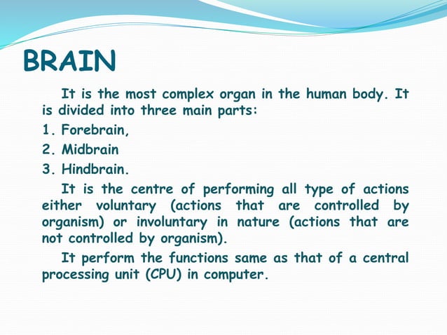 Control and Coordination | PPTX