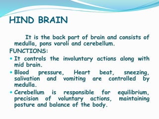 Control and Coordination | PPTX