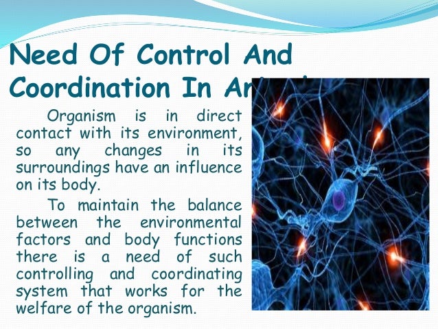 Control and Coordination