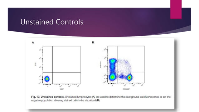 control.pptx