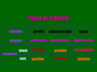control-and-coordination-in-plants-x.ppt