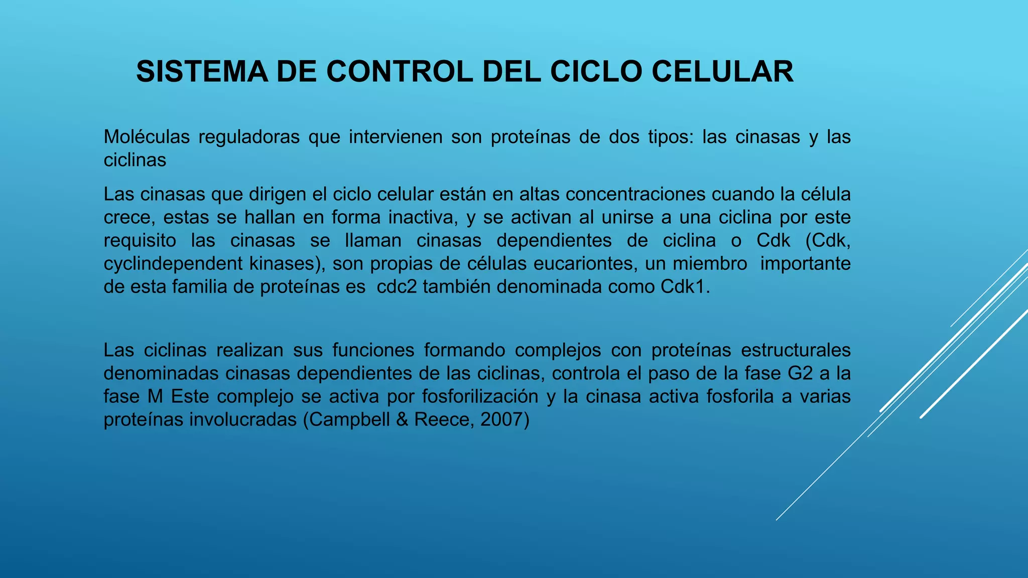 Control del-ciclo-celular | PPTX