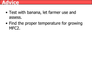 Control of Anthracnose of banana (Kluai Khai) by the biofumigant fungus Muscodor albus strain ...