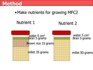 Control Of Anthracnose Of Banana (Kluai Khai) By The Biofumigant Fungus ...
