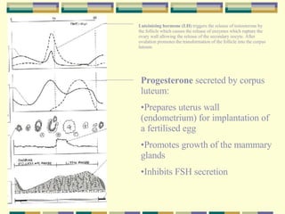 Control Of Human Reproduction | PPT