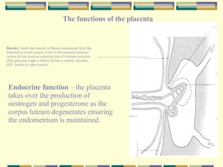 Control Of Human Reproduction | PPT
