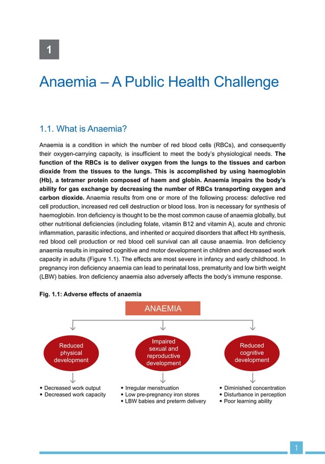 Control-of-Iron-Deficiency-Anaemia.pdf