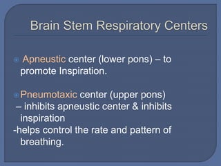 Control of Ventilation /Lung Physiology by Nahid Sherbini | PPTX