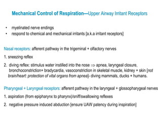 Control%20of%20 Breathing | PDF