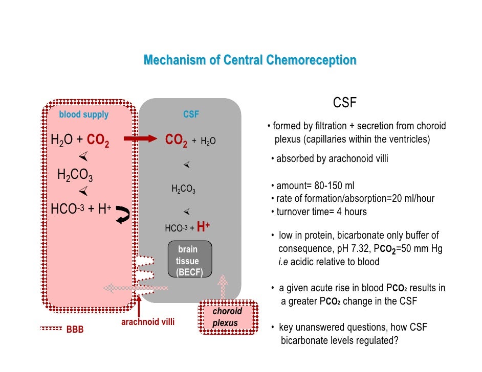 Control%20of%20 Breathing