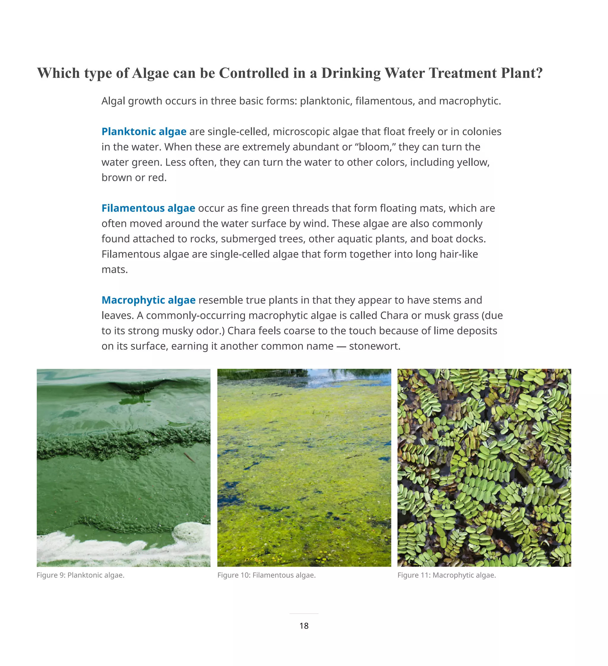 White paper: Control algae in drinking water reservoirs white paper | PDF