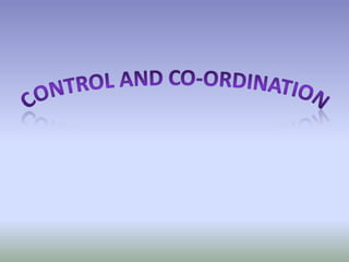 Control and co-ordination of body (neuro) | PPT