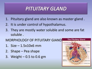 Control and co-ordination of body (neuro) | PPT