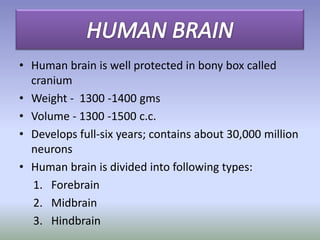 Control and co-ordination of body (neuro) | PPT