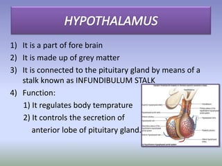 Control and co-ordination of body (neuro) | PPT
