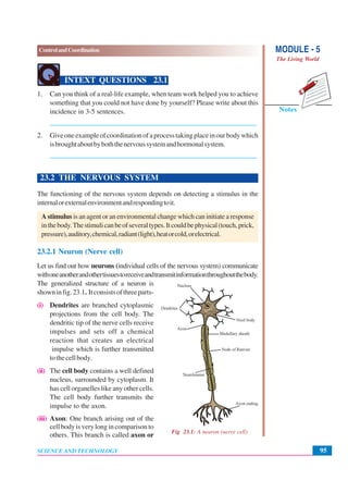 Control and coordination | PDF