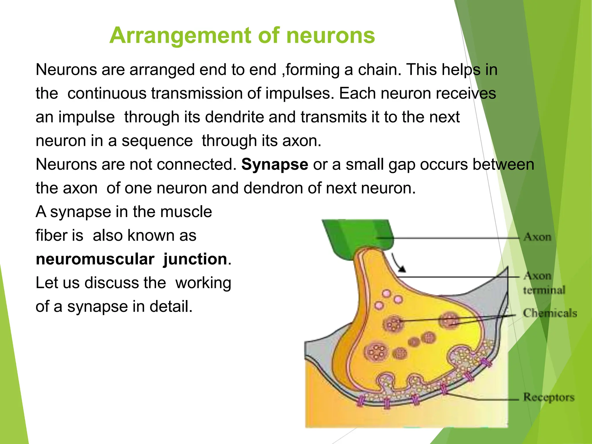 controlandcoordination-160912065553-converted.pptx