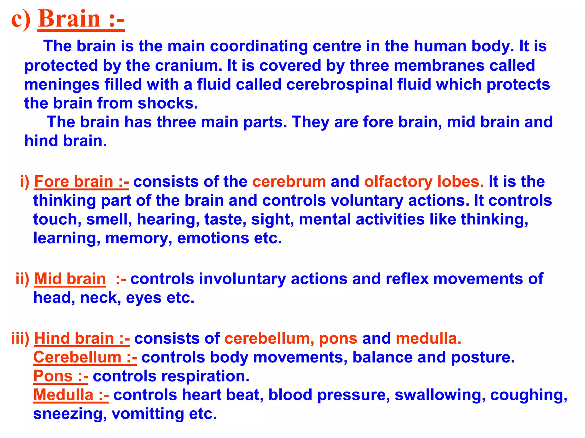 Control and coordination.ppt
