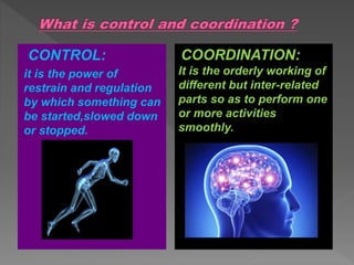Control and coordination | PPTX | Hormonal Disorders | Endocrine and ...