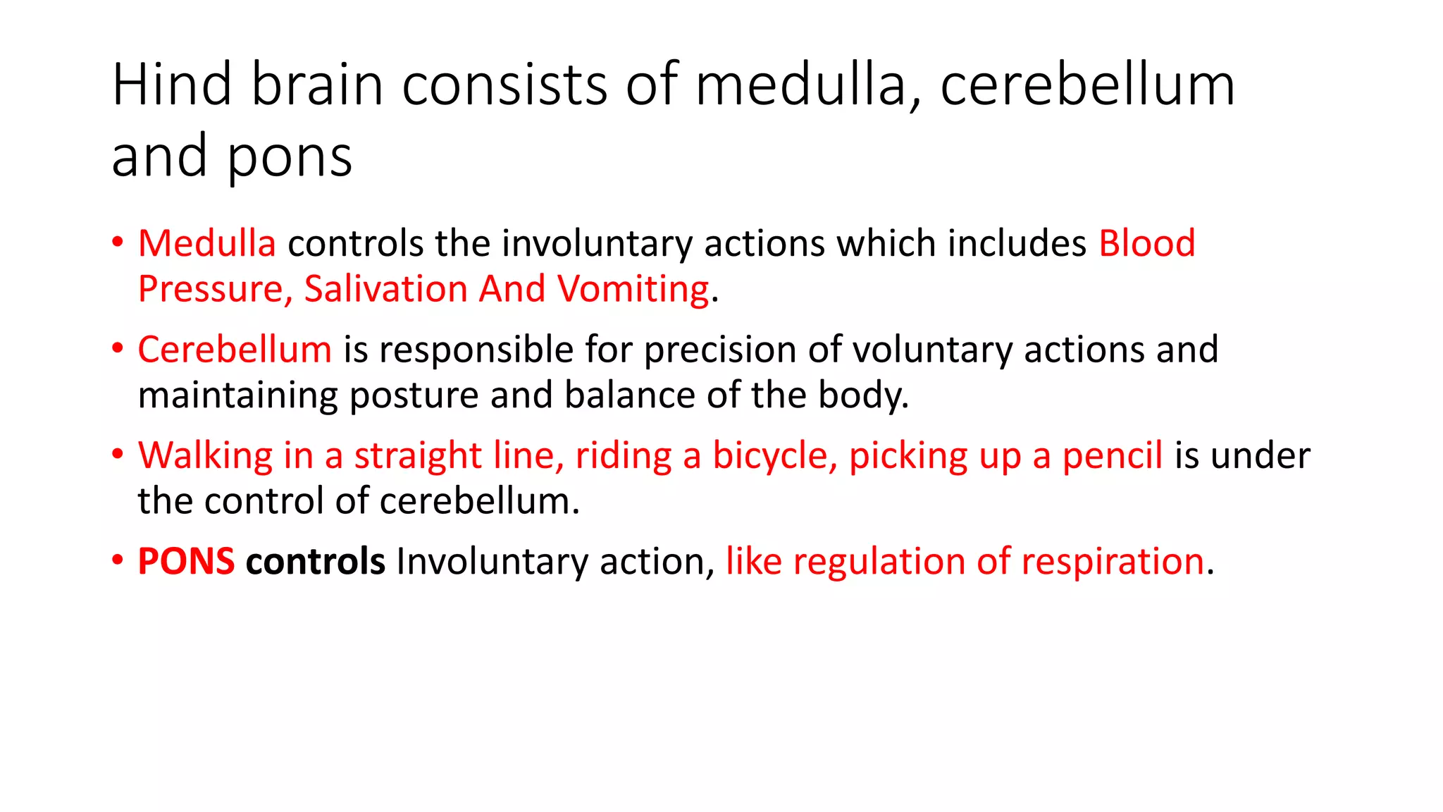 Control and coordination | PPTX