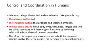 Control and coordination | PPTX