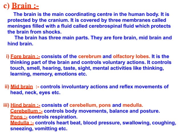 Control and coordination | PPTX