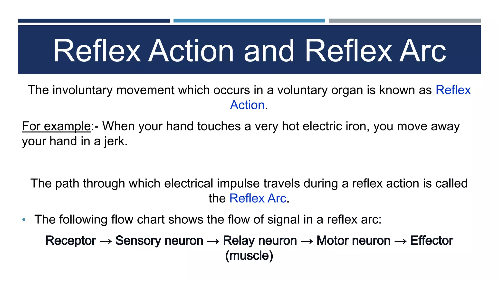Control and Coordination.pptx