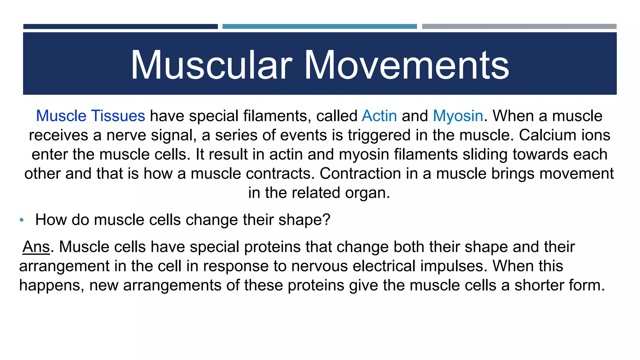 Control and Coordination.pptx