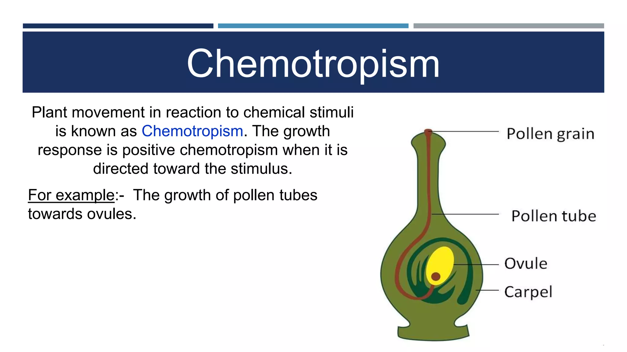 Control and Coordination.pptx