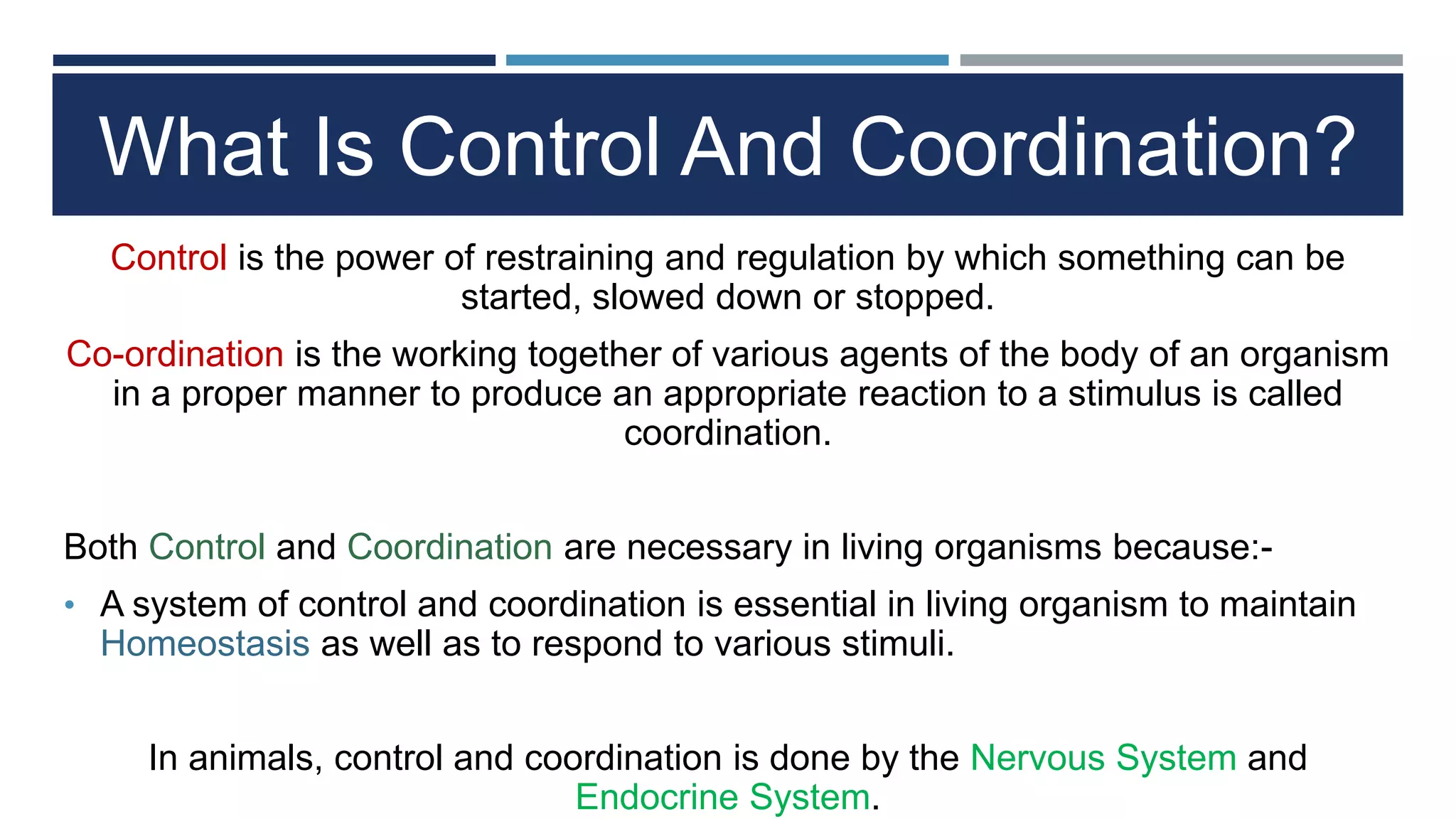 Control and Coordination.pptx