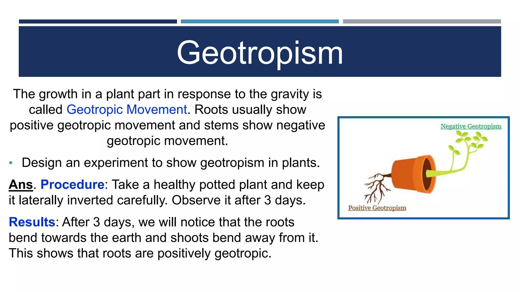 Control and Coordination.pptx