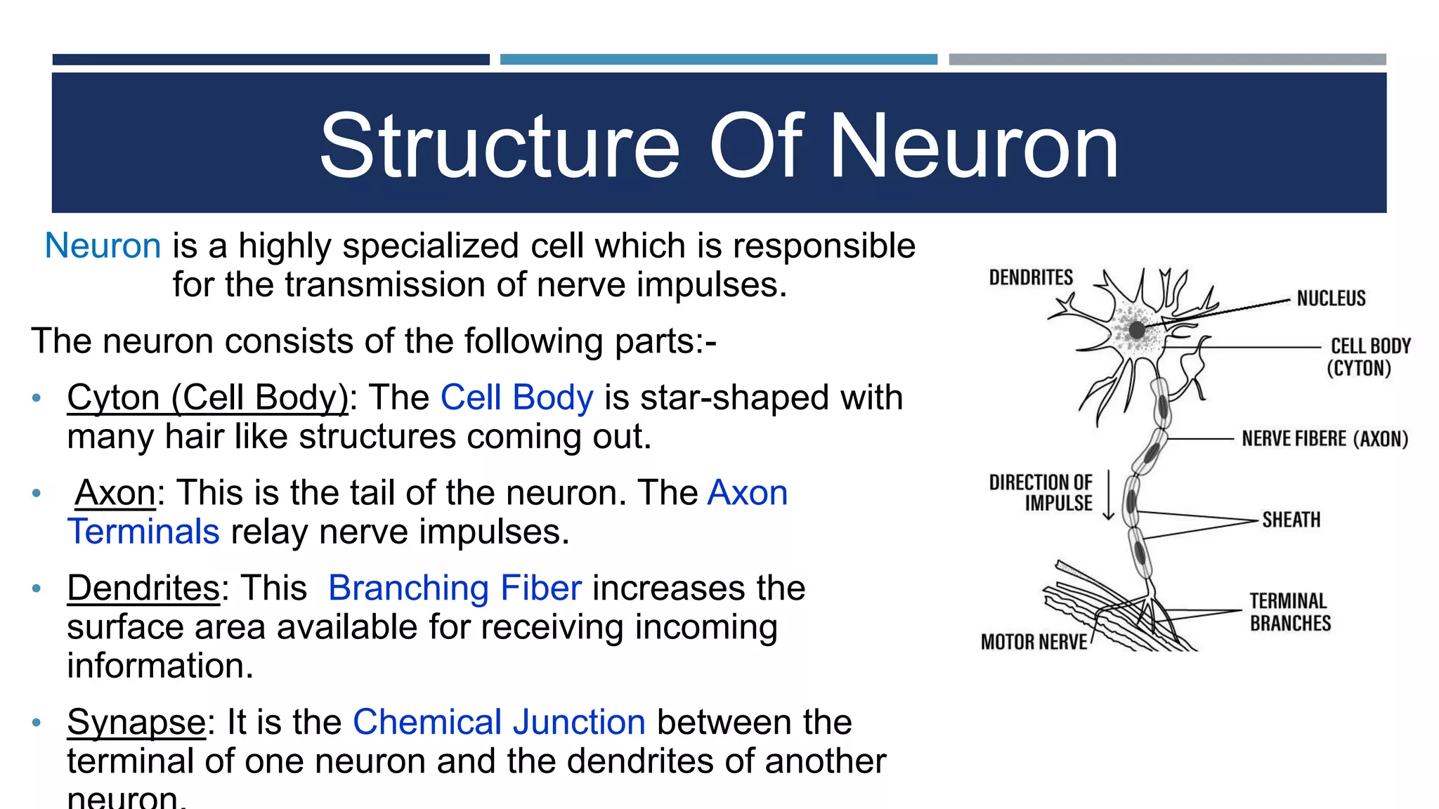 Control and Coordination.pptx