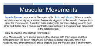 Control and Coordination.pptx