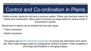Control and Coordination.pptx