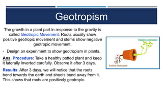 Control and Coordination.pptx