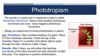 Control and Coordination.pptx