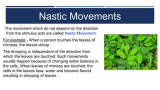 Control and Coordination.pptx