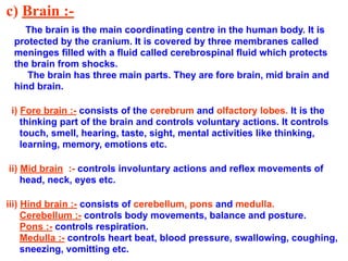 CONTROL AND COORDINATION.ppt.pdf