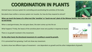 control and coordination class 10 biology | PPTX