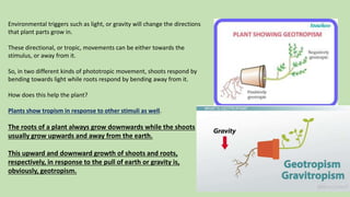 control and coordination class 10 biology | PPTX