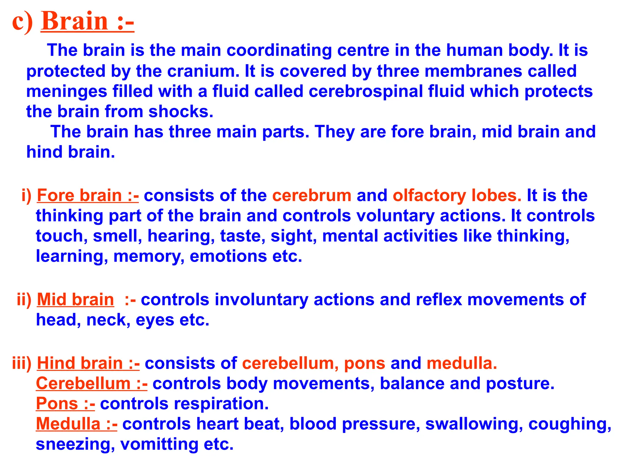 CONTROL AND COORDINATION class 10.ppt.pptx