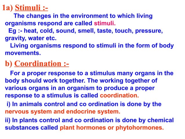 CONTROL AND COORDINATION class 10.ppt.pptx | Brain and Nervous System Disorders | Diseases and ...