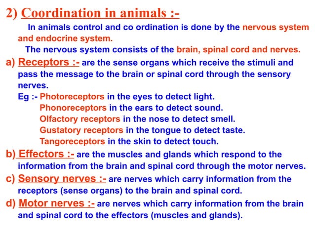CONTROL AND COORDINATION class 10.ppt.pptx | Brain and Nervous System Disorders | Diseases and ...