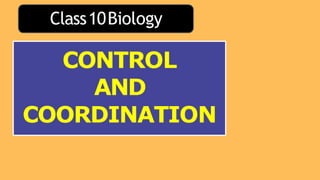 CONTROL AND COORDINATION class 10th .pptx