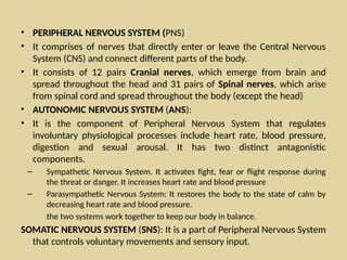 10th CLASS CONTROL AND COORDINATION NERVOUS SYSTEM AND HORMONES | PPTX