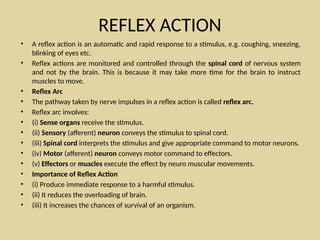 10th CLASS CONTROL AND COORDINATION NERVOUS SYSTEM AND HORMONES | PPTX