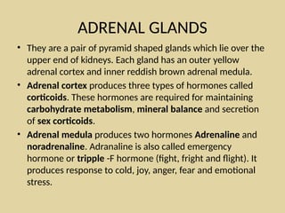 10th CLASS CONTROL AND COORDINATION NERVOUS SYSTEM AND HORMONES | PPTX