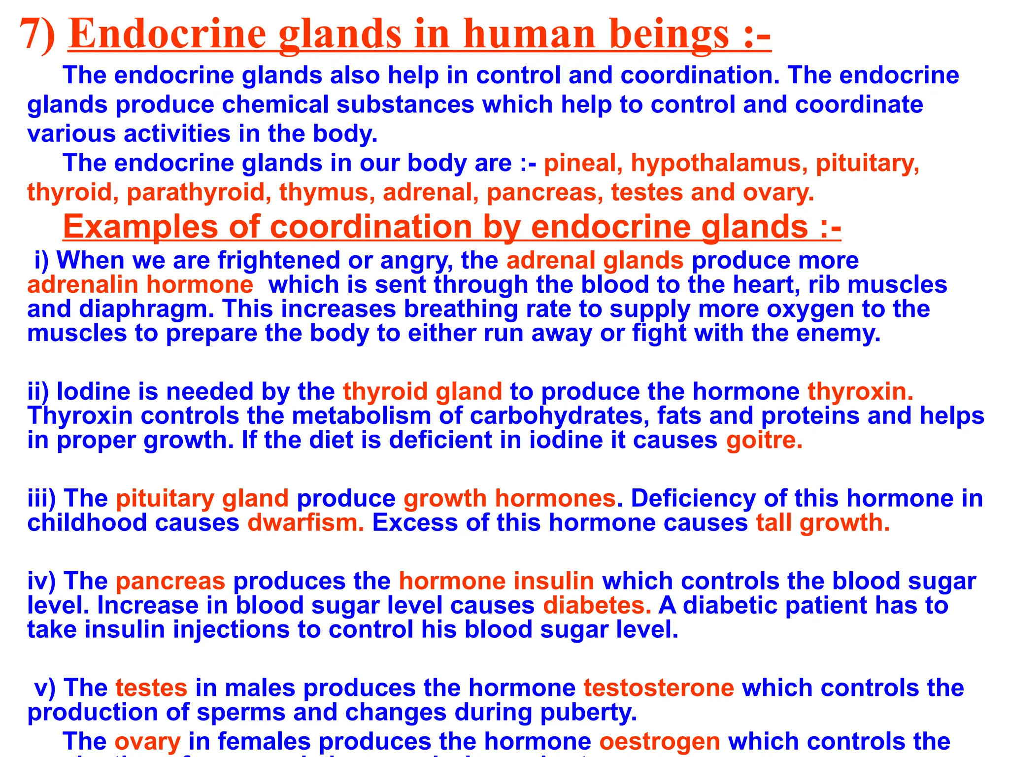 CONTROL AND COORDINATION.ppt.ppt best notex | PPTX